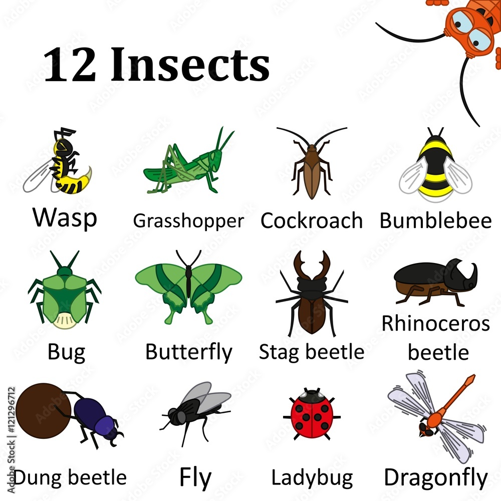Set of various insects Stock Vector | Adobe Stock