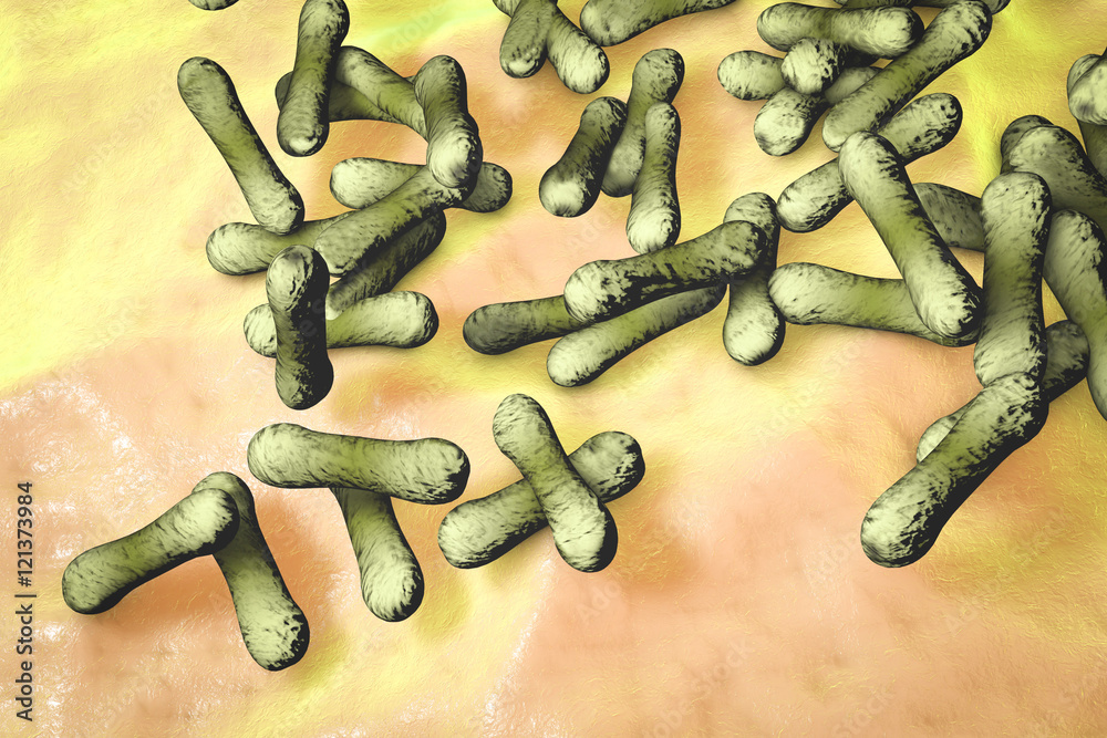 Microscopic illustration of Corynebacterium diphtheriae, Gram-positive ...