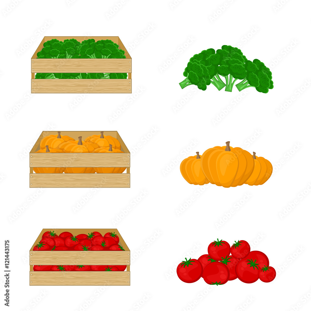 Vegetables in wooden boxes isolated on white background. Broccoli ...