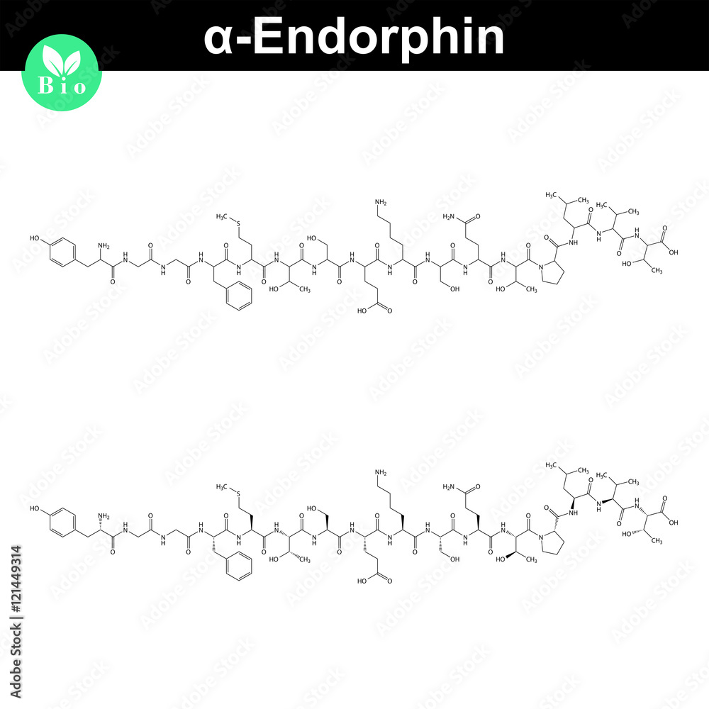 Alpha endorphin chemical structure Stock Vector | Adobe Stock