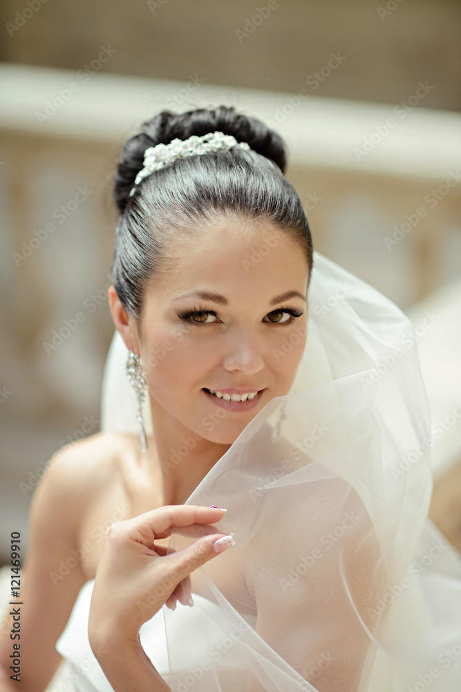 Beauty bride in bridal gown with lace veil indoors. Beautiful model ...