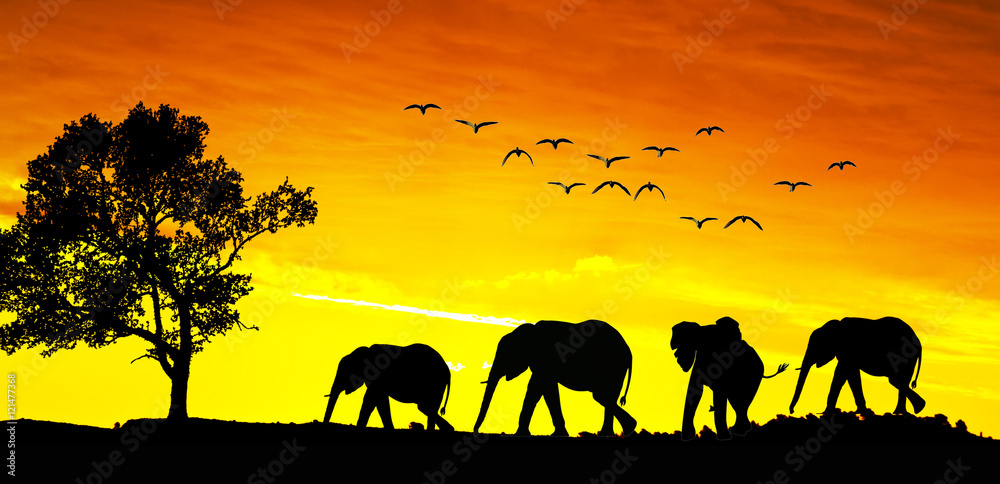 animales en el paisaje Stock Photo | Adobe Stock