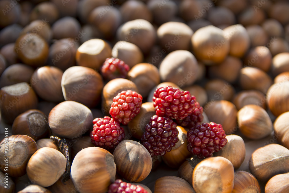 Nocciole e more foto de Stock | Adobe Stock