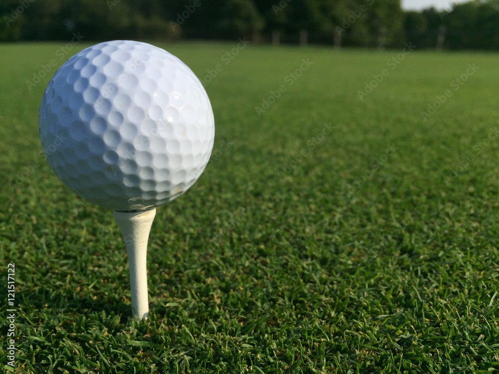 Putting Down A Ball