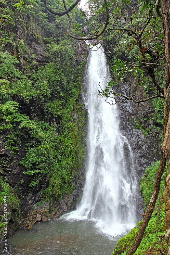 Mynapi, Mainapi, waterfall during the monsoon season in the Netravali ...