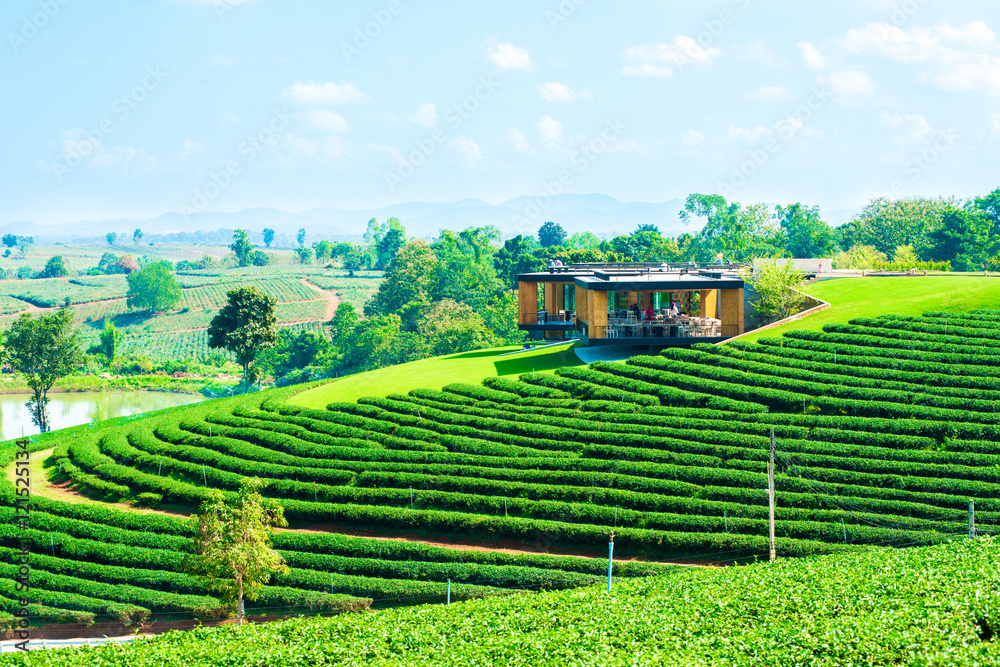 house on tea plantation. Stock Photo | Adobe Stock