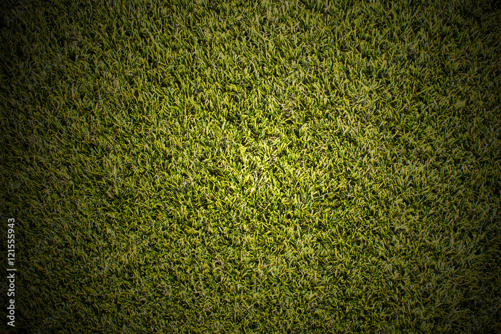grass texture grass Golf Course for design pattern and backgroun Stock ...