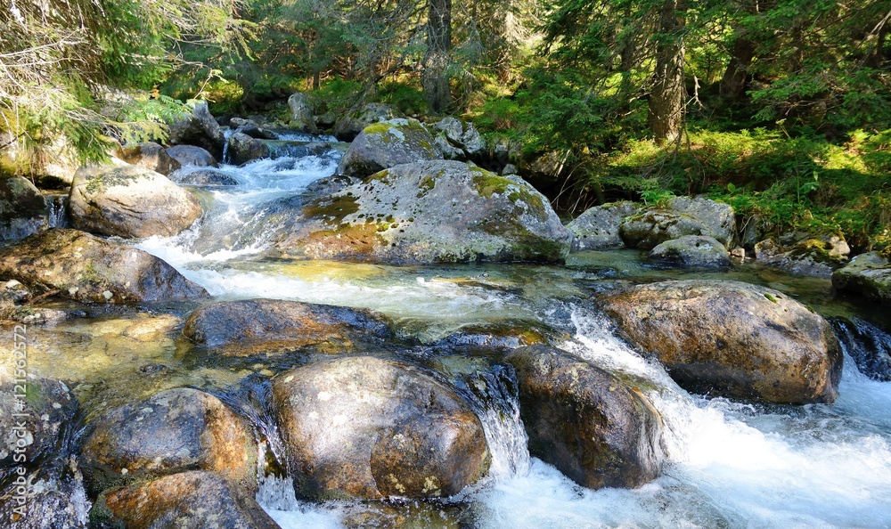 Running Water Stream