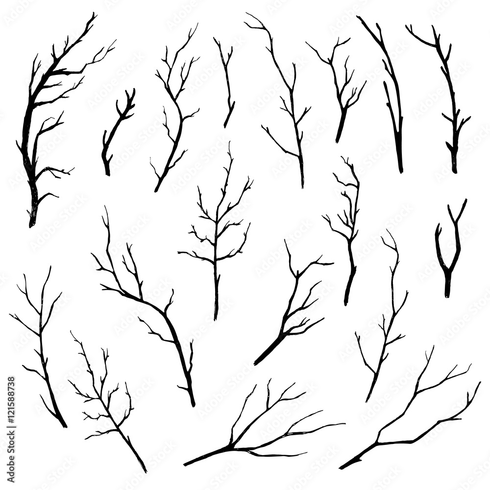 Hand drawn tree branches collection. Vector illustration. Stock Vector ...