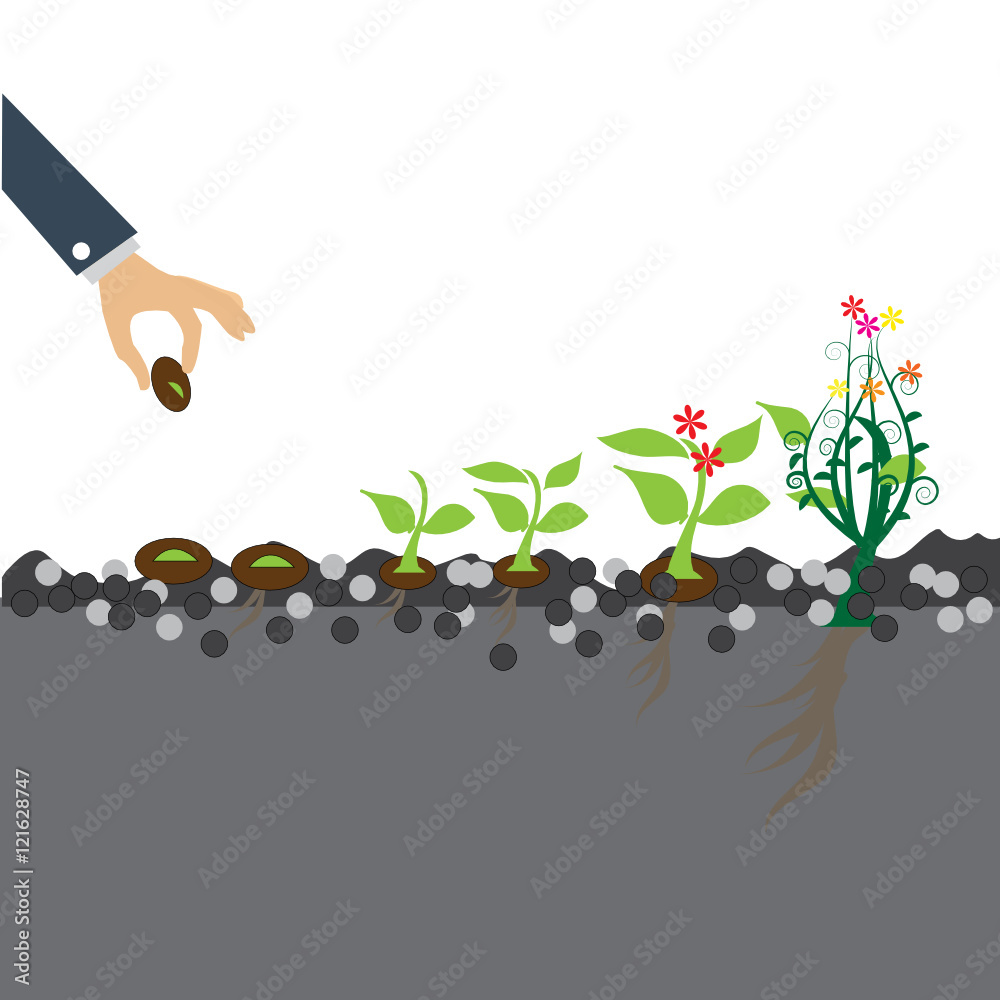 seed to tree, Fertilizer, Agriculture, Seeding, Plant seed growing ...