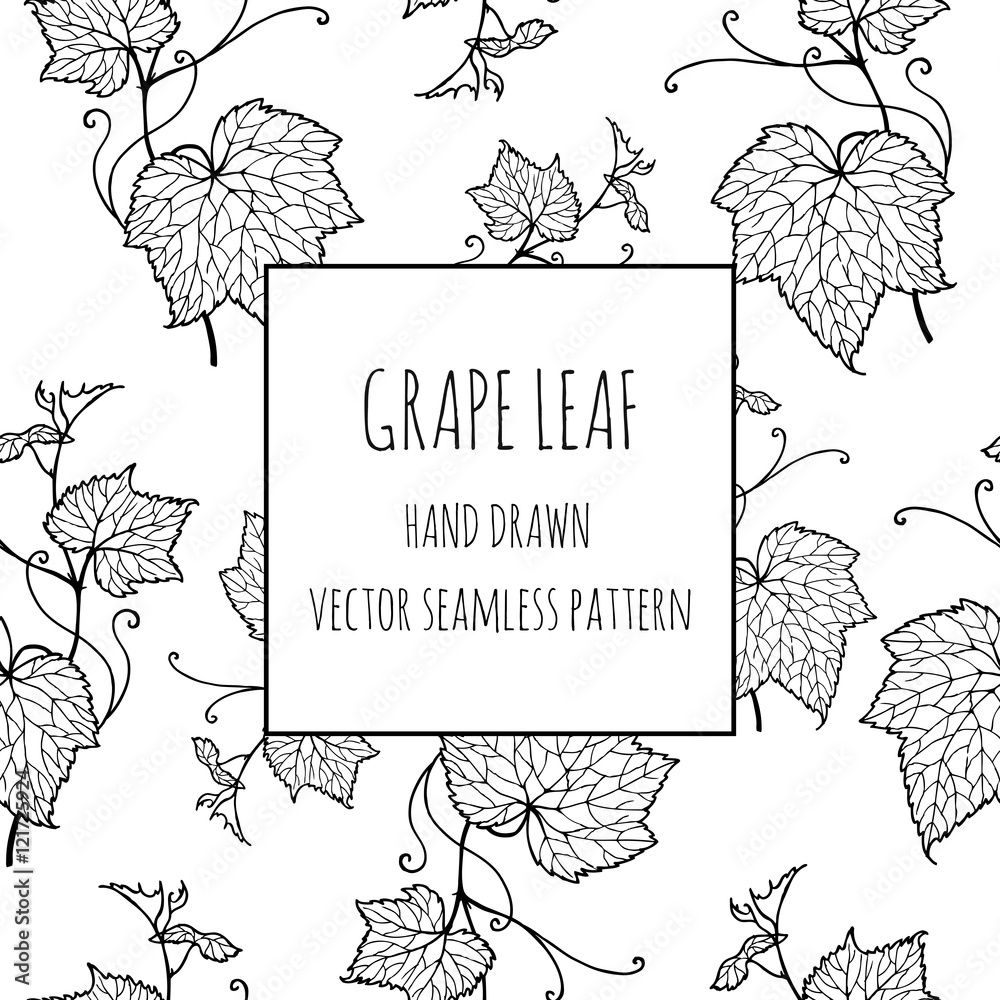 Leaf vine. Grape leaves. Hand-drawn illustration. Vector seamless ...