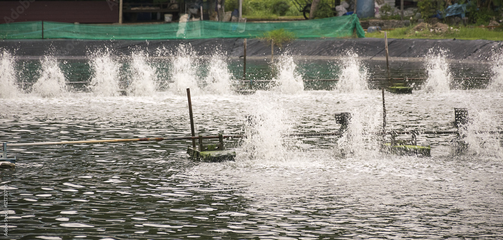 Water aeration turbine in farming aquatic. Shrimp and fish hatchery ...