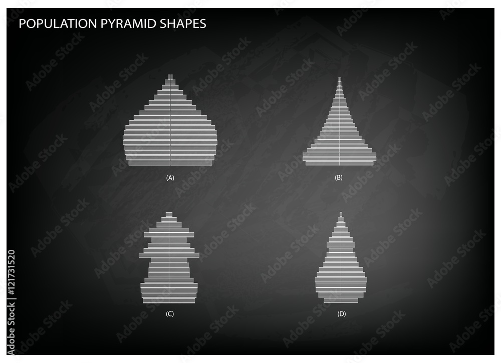 The 4 Types of Population Pyramids Graphs Stock Vector | Adobe Stock