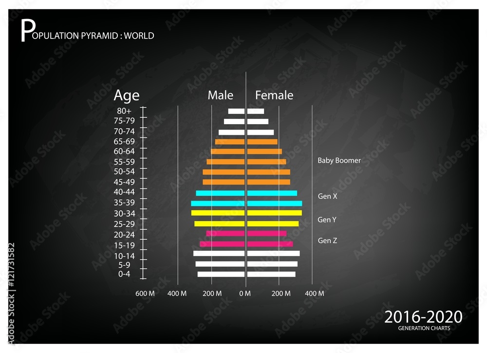 2016-2020 Population Pyramids Graphs with 4 Generation Stock Vector ...