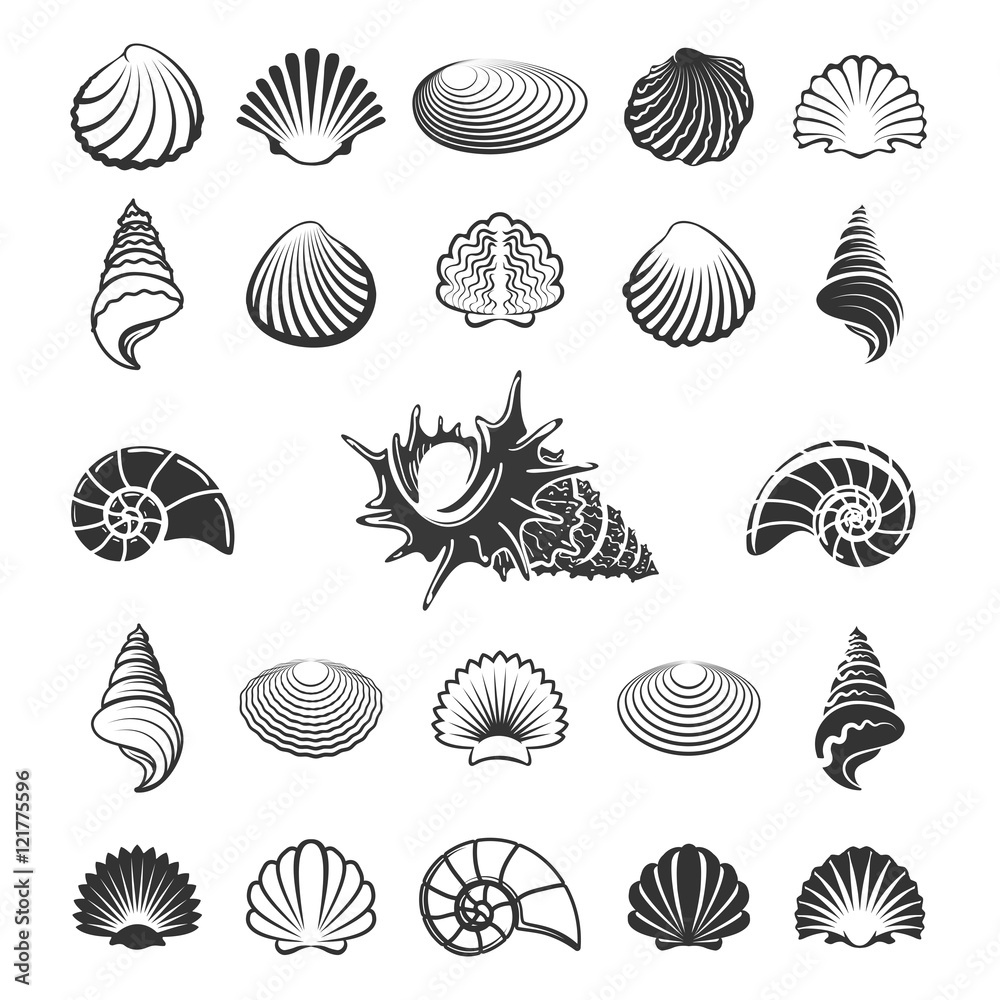 Sea shell silhouettes. Marine sand shells icons like nautilus or ...