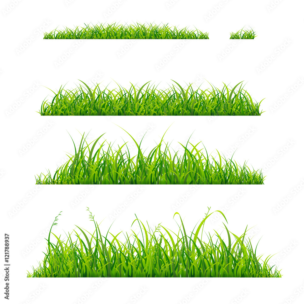 Green Grass Line Set. Vector Stock Vector | Adobe Stock
