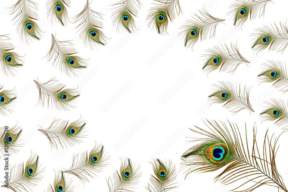 Beautiful peacock feathers as background with text copy space Stock ...