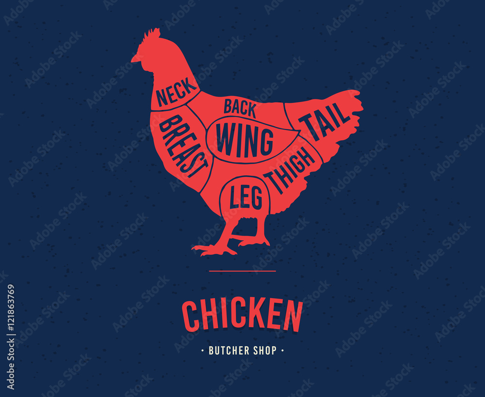 Chicken cuts. Diagrams for butcher shop. Scheme of chicken. Vector ...