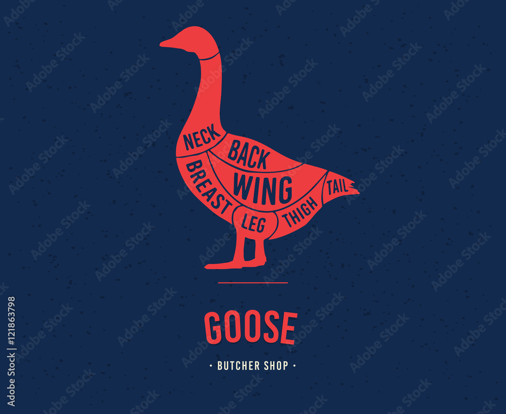 Meat cuts. Diagrams for butcher shop. Scheme of goose. Animal ...