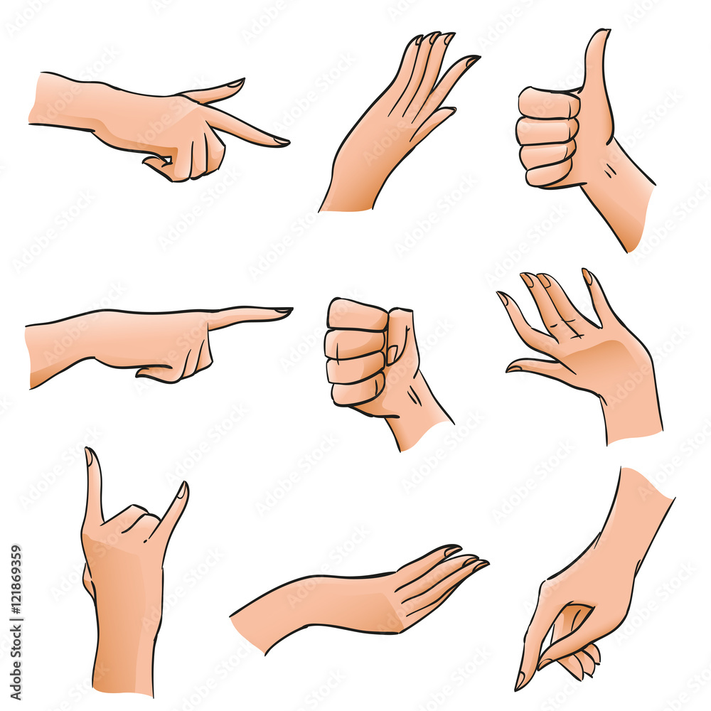 Vecteur Stock Set of Hands and Fingers in Different Positions and ...