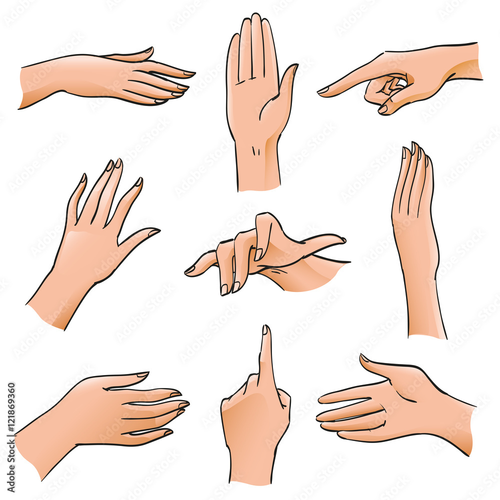 Set of Hands and Fingers in Different Positions and Gestures. Body Part ...