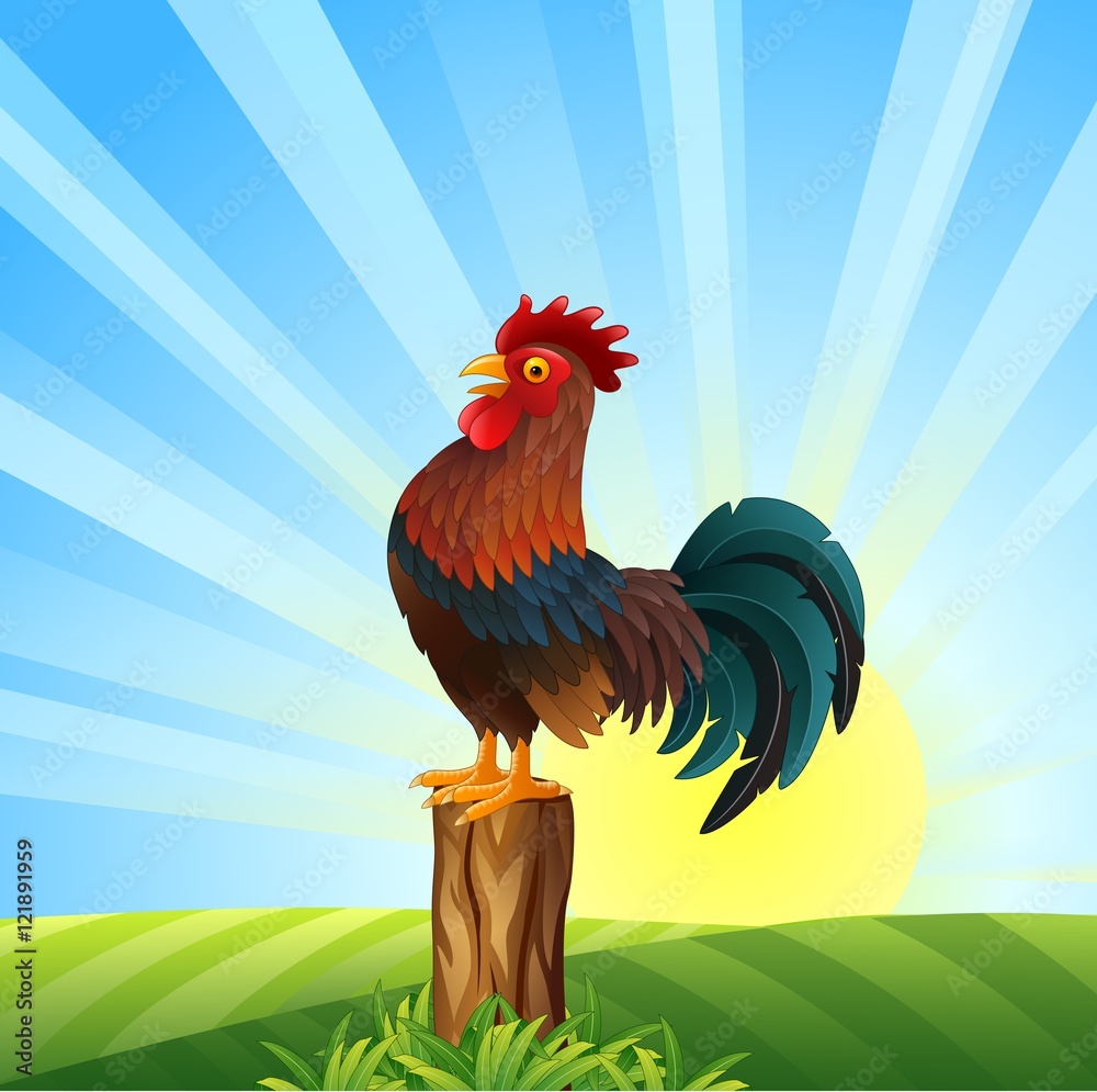Cartoon Rooster crowing at dawn Stock Vector | Adobe Stock