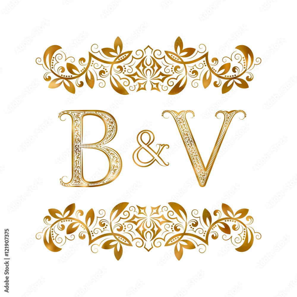 B&V vintage initials logo symbol. Letters B, V, ampersand surrounded ...