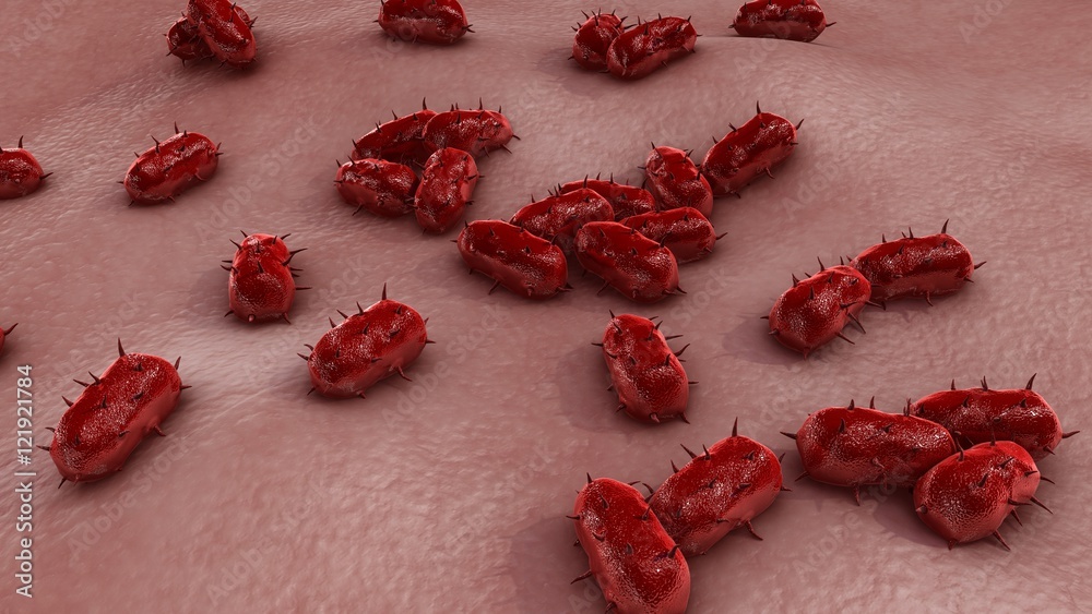 Bacterial Meningitis Stock Illustration | Adobe Stock