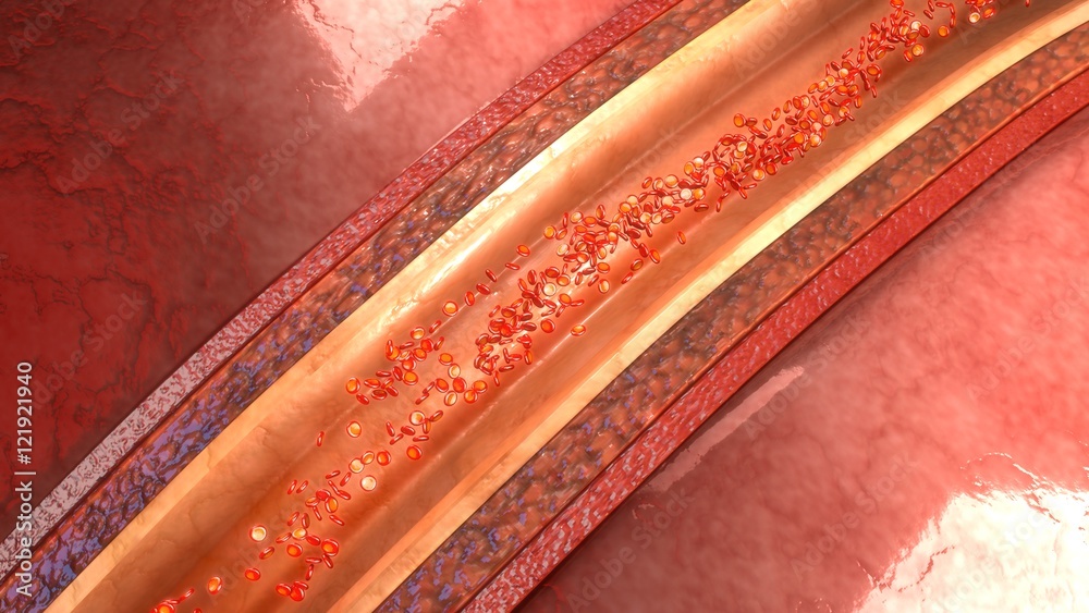 Human Artery Stock Illustration | Adobe Stock