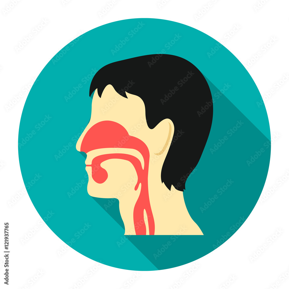 Respiratory system icon cartoon. Single medicine icon from the big ...