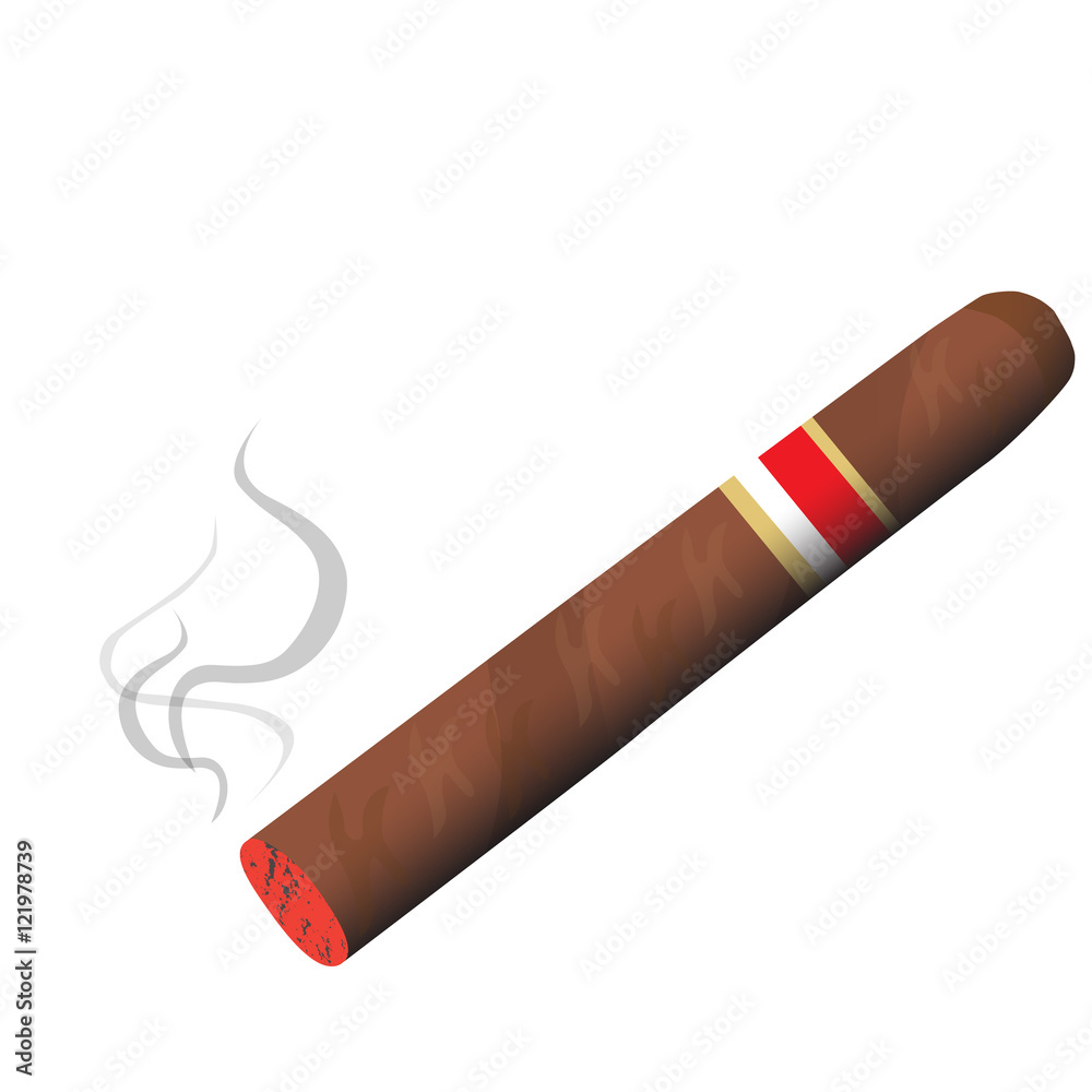 Cigar Vector