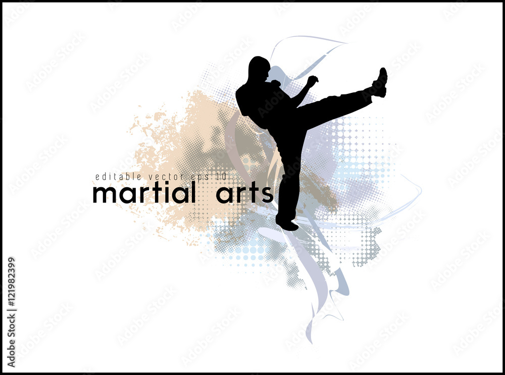 Vector of karate Stock Vector | Adobe Stock