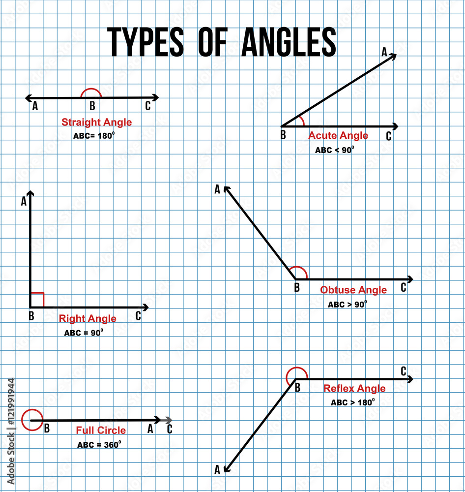 Types of angles on math paper Stock Vector | Adobe Stock