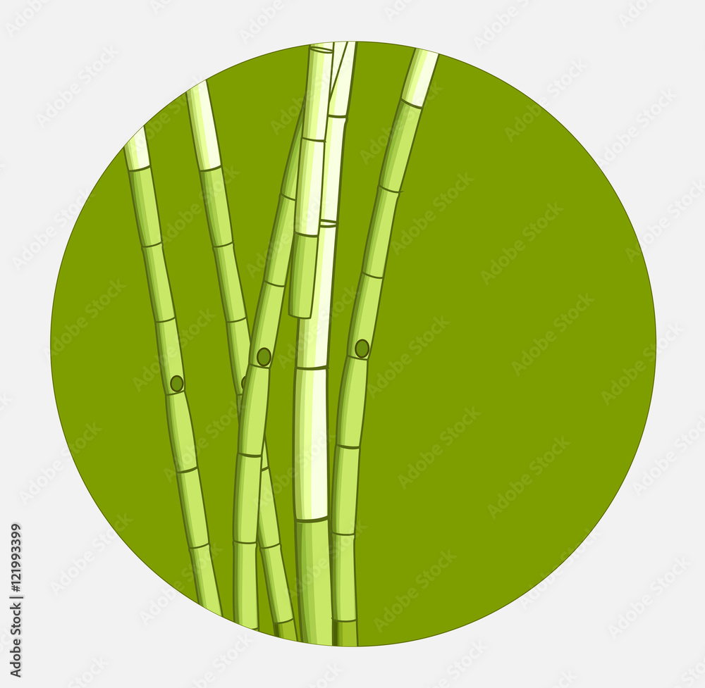 Sugarcane Vector Stock Vector | Adobe Stock