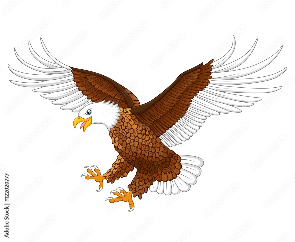 Flying Eagle Cartoon Images