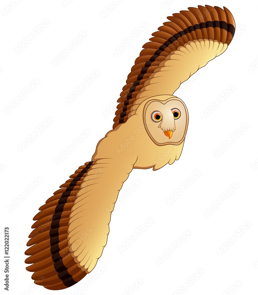 Cartoon flying owl Stock Vector | Adobe Stock