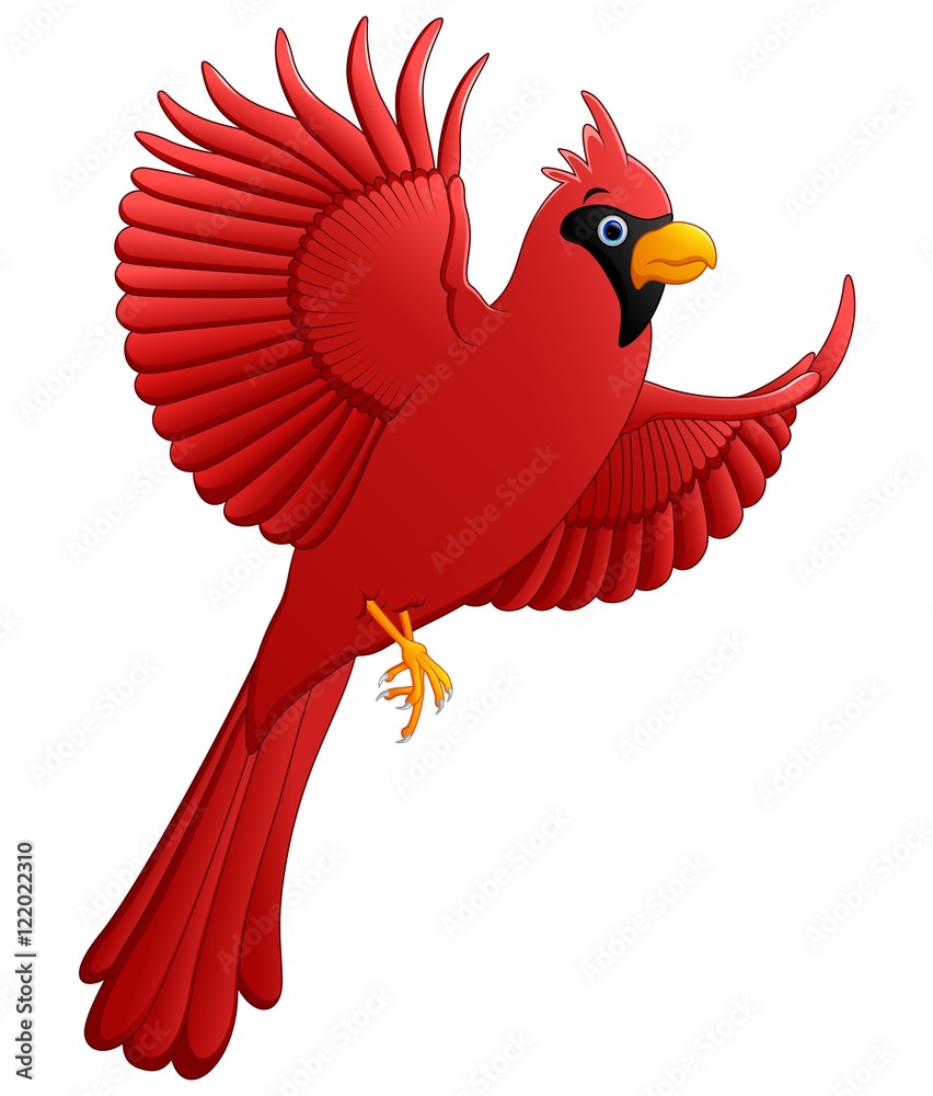 Cartoon flying cardinal bird Stock Vector | Adobe Stock