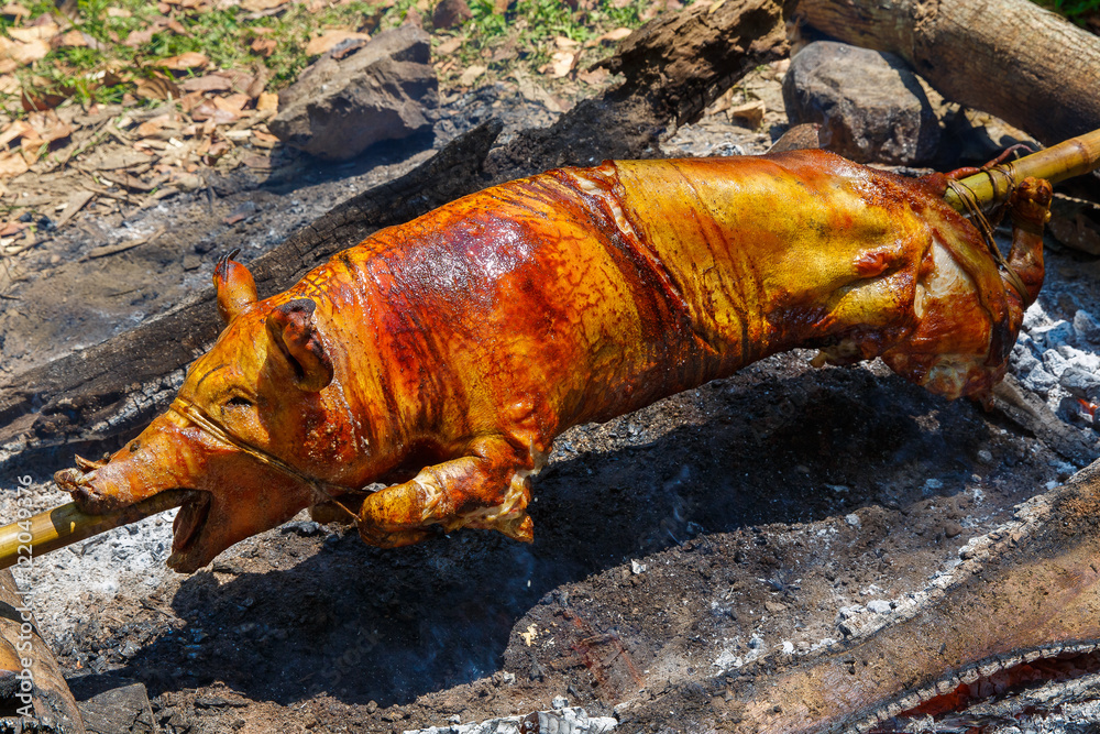 Filipino Food Lechon