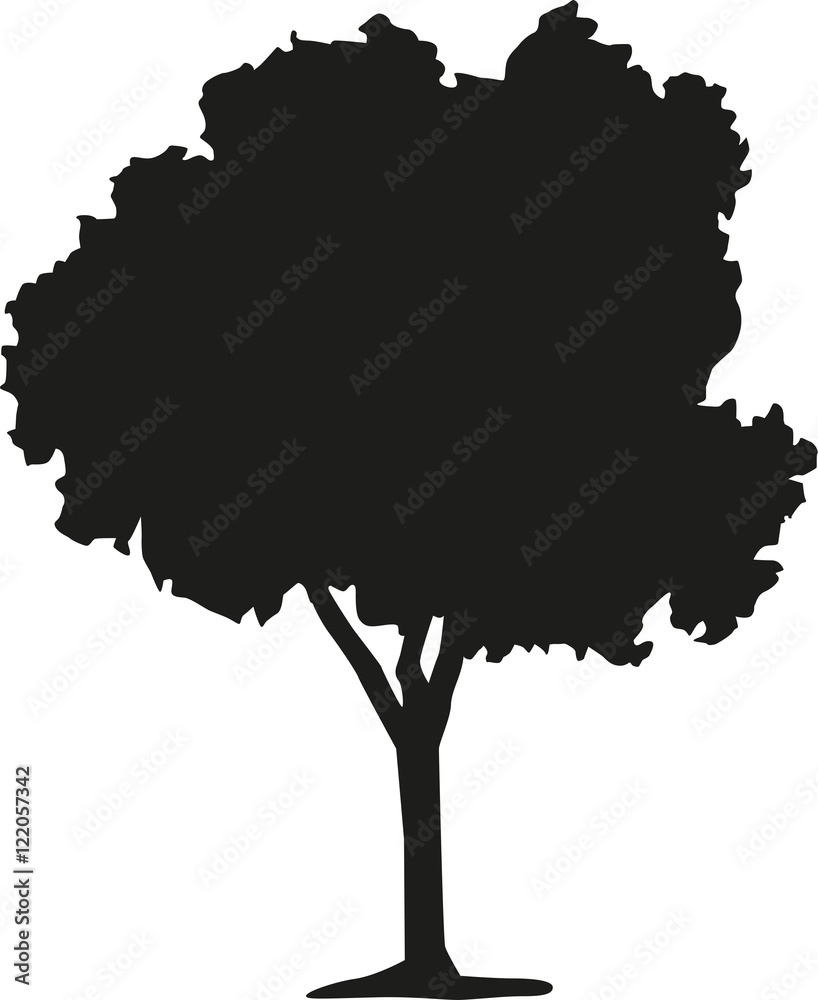 Silhouette of deciduous tree Stock Vector | Adobe Stock