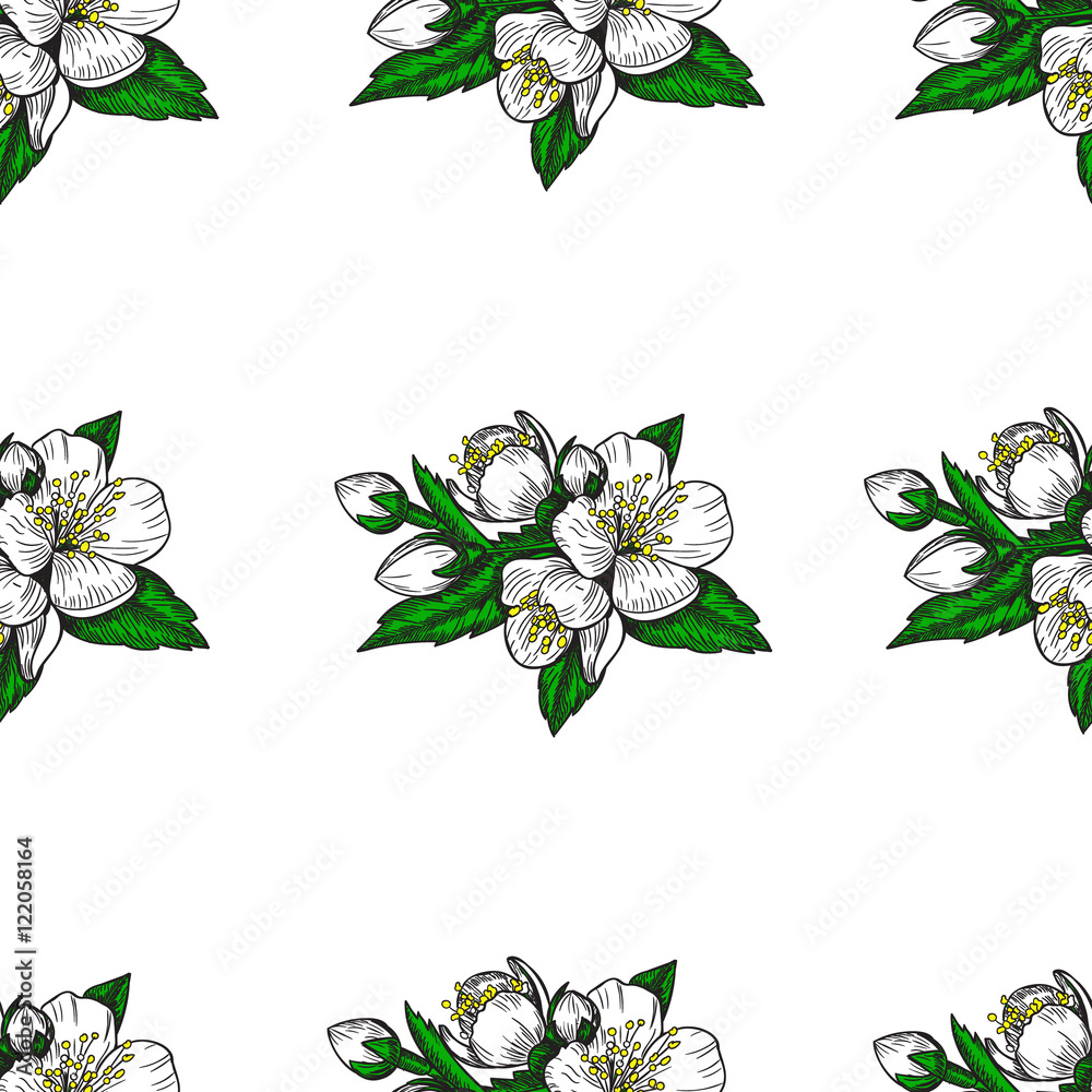 Seamless pattern flowers and leaves of the apple tree . Vector sketch ...
