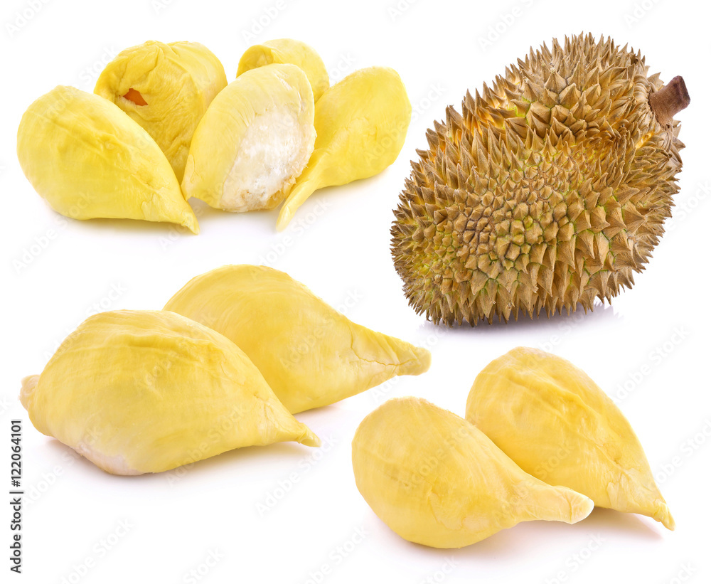 Durian white background Stock Photo | Adobe Stock