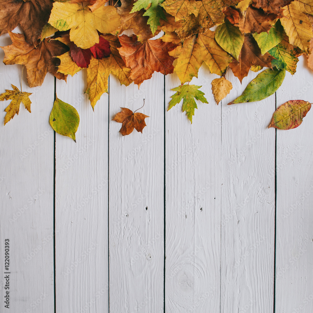 Colorful autumn dry leaves border frame on white painted rustic barn ...
