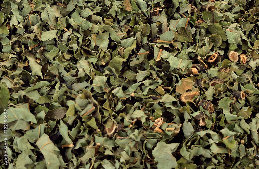 Dry adhatoda vasica or medicinal Basak leaf isolated Stock Photo ...