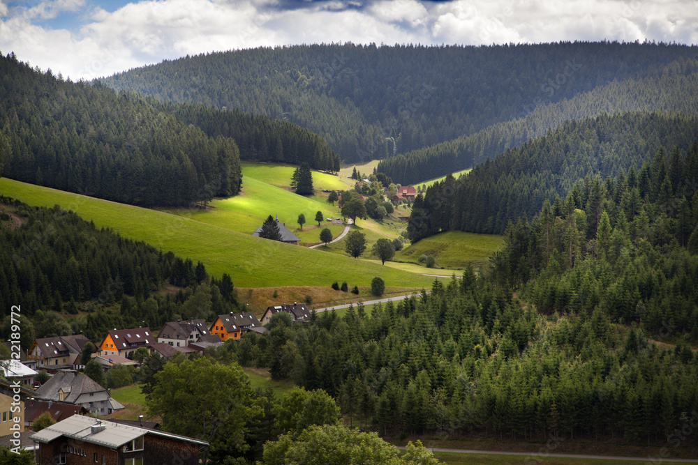 Paisaje en la Selva Negra Stock Photo | Adobe Stock