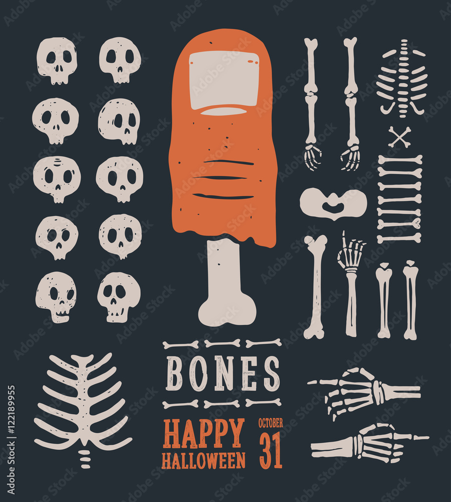 Halloween. Set of cartoon skulls and bones. Vector illustration. Stock ...