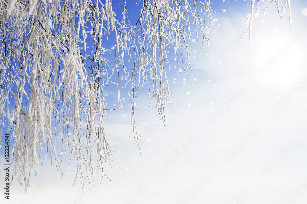 branch of a tree in the snow against the blue sky. Frosty winter day - snowy branch. Christmas ...