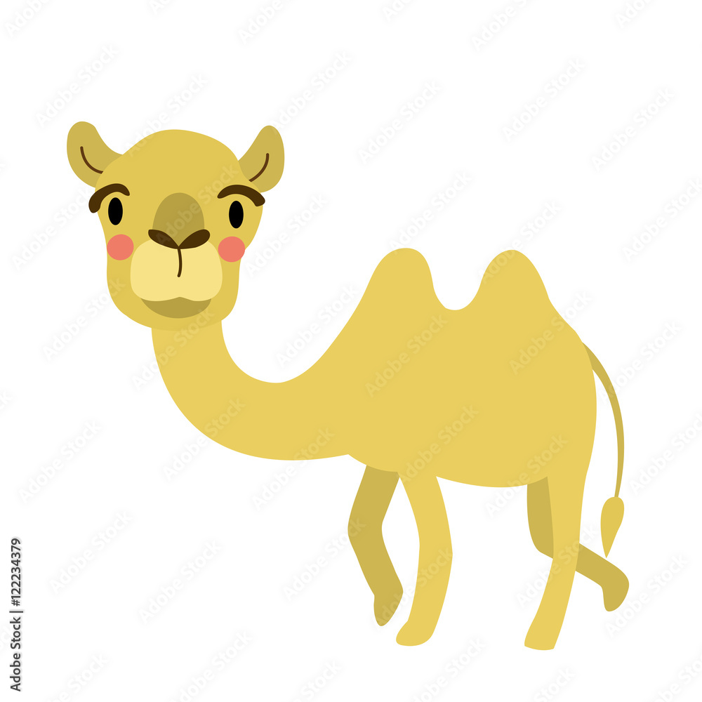 Bactrian Camel animal cartoon character. Isolated on white background ...
