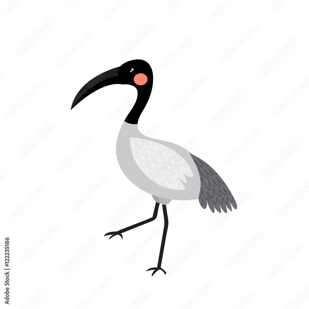 Ibis bird animal cartoon character. Isolated on white background ...