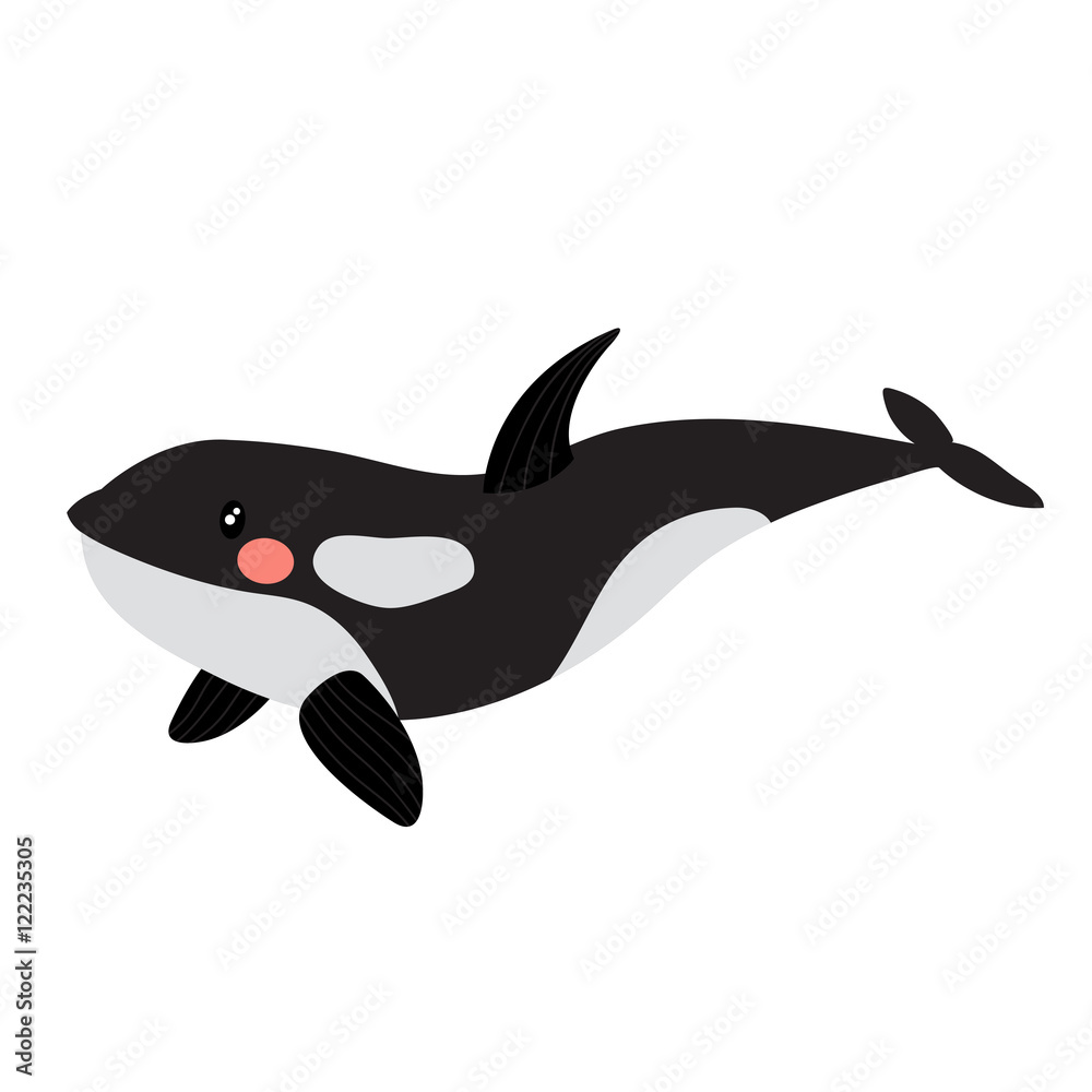 Killer whale orca animal cartoon character. Isolated on white ...