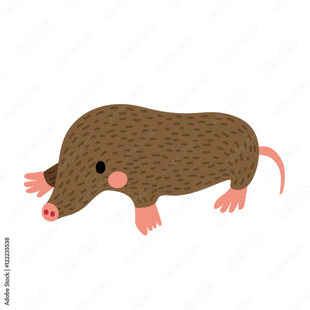 Mole animal cartoon character. Isolated on white background. Vector ...